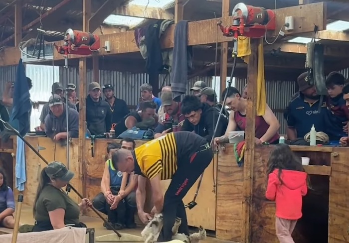 Family overwhelmed at generosity of community for shear-a-thon