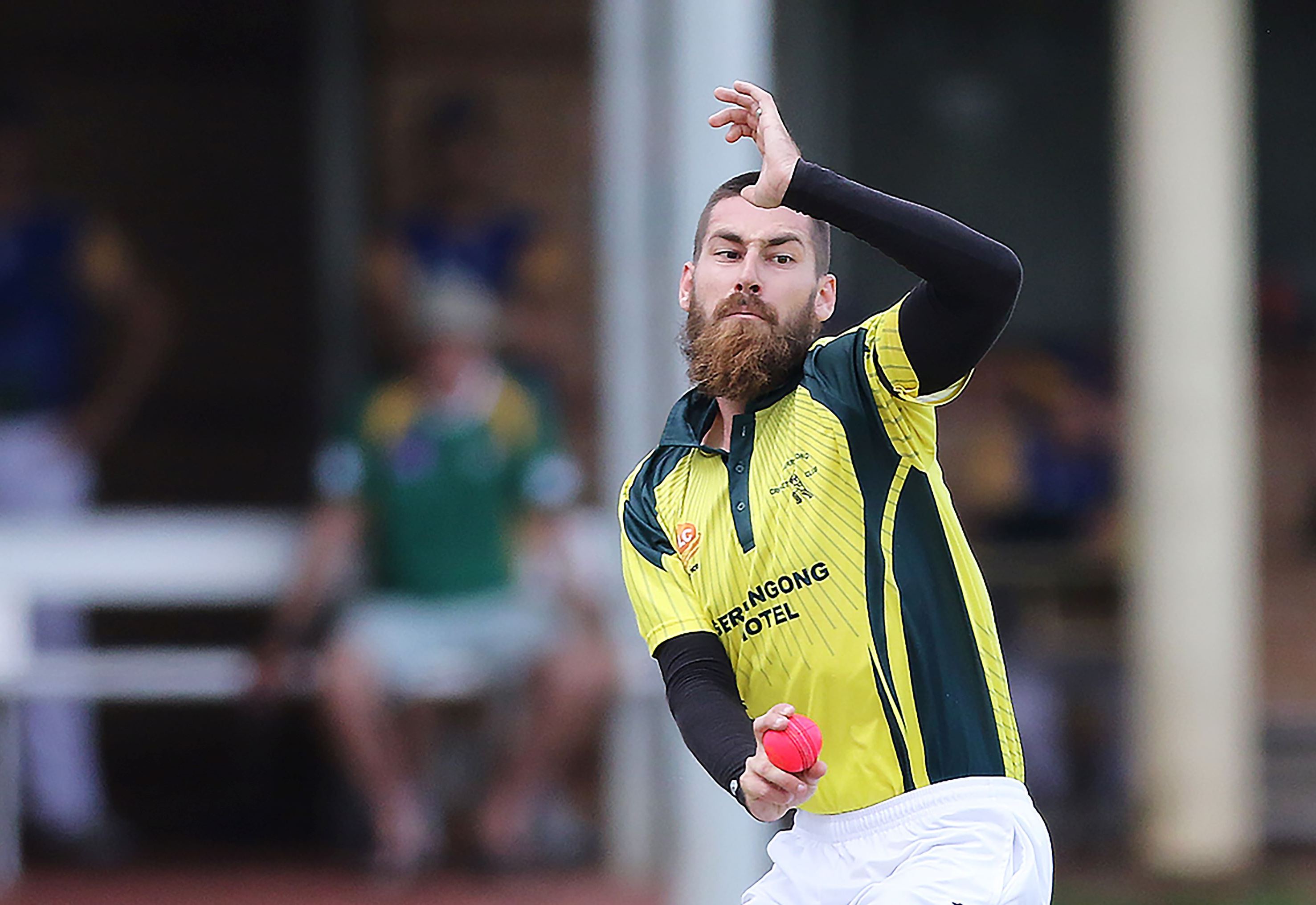 South Coast cricket season back on again with bumper weekend